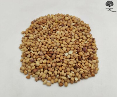 Dried Mahaleb Cherry Seeds Mahlepi 40g - 1.95Kg | Prunus Mahaleb | eBay