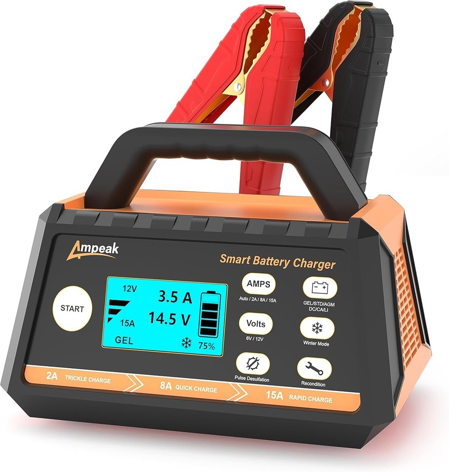 Smart 2A/8A/15A Car Battery Charger for 6V/12V with Winter Mode & Multi ...