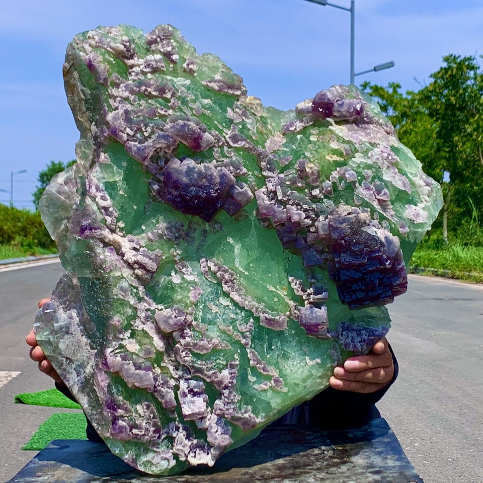 41.49LB Natural transparent purple green Fluorite Mineral Crystal ...