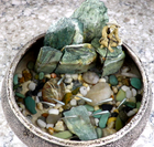 8 Medaka, Platinum Blue Miyuki Japanese Rice Fish, Easy Hardy Aquarium ...