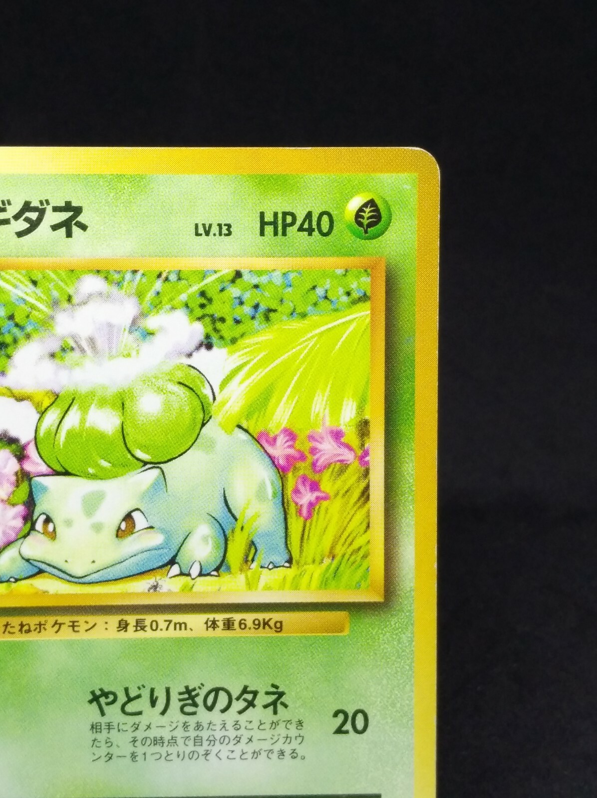 Bulbasaur Pokemon Card No.001 Base Set 1st First edition Japanese ...