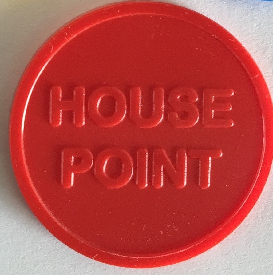 HOUSE POINT TOKENS PLASTIC HOME, SCHOOL, REWARD - BAG OF 100 - 5 ...