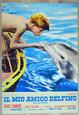 Fotobusta Original The My Friend Dolphin 63 Chuck Connors Pinball ...