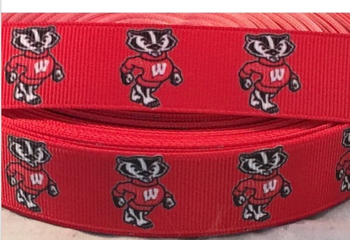 Wisconsin Ribbon - 7/8" Grosgrain Ribbon - College Ribbon - U of ...