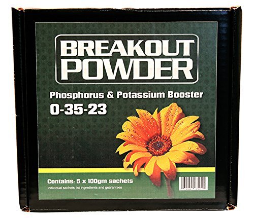 Aptus Breakout Powder 100 gm - Pack of 5 30955475011 | eBay