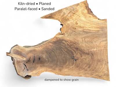 Live Edge English Walnut Root Wood Slice for Epoxy Resin or Rustic Home ...