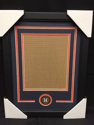 Houston Astros New 8x10 Photo Vertical Team Medallion Frame Kit | eBay
