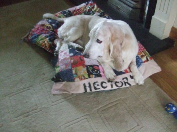 Handmade Personalised Patchwork Dog bed quilt liner ideal for sofa car ...