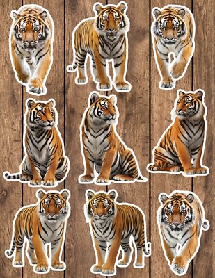 Tiger Die Cut Vinyl Stickers Set Scrapbooking Laptop Waterbottle | eBay