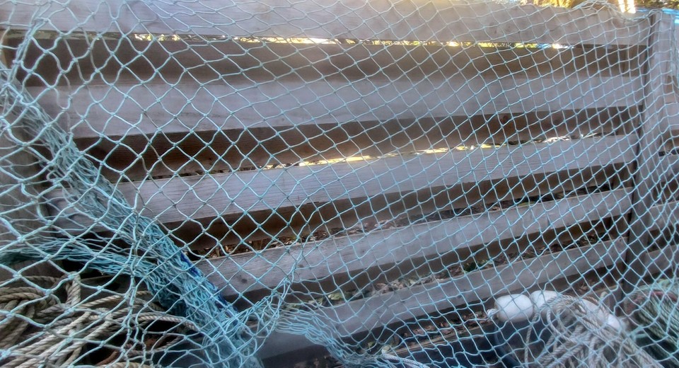 Approx 8x8 Feet Authentic Used Fishing Net Fish Netting - Teal Color ...