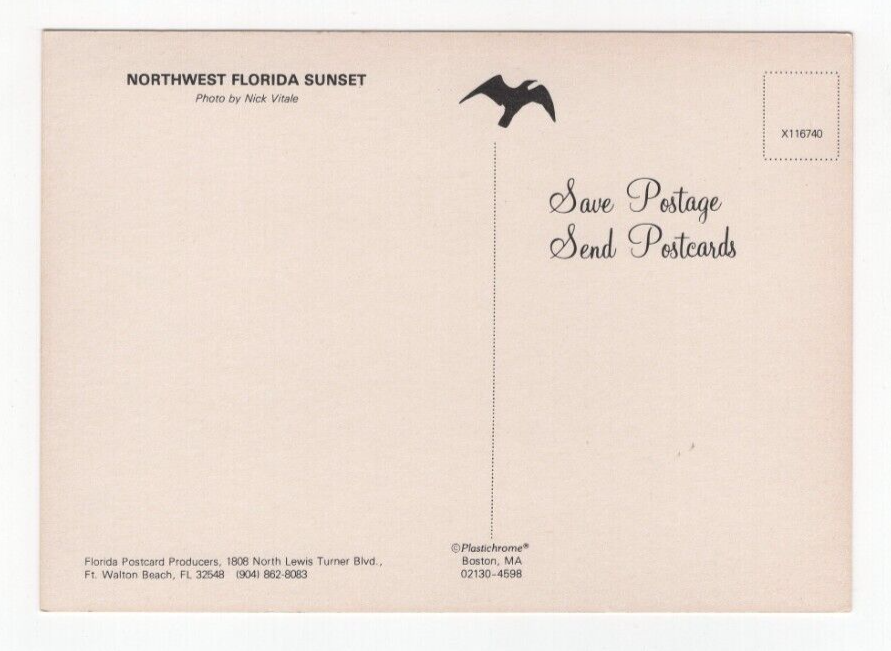 Northwest Florida Sunset Sailboat and Reflecting Sun FL Postcard ...