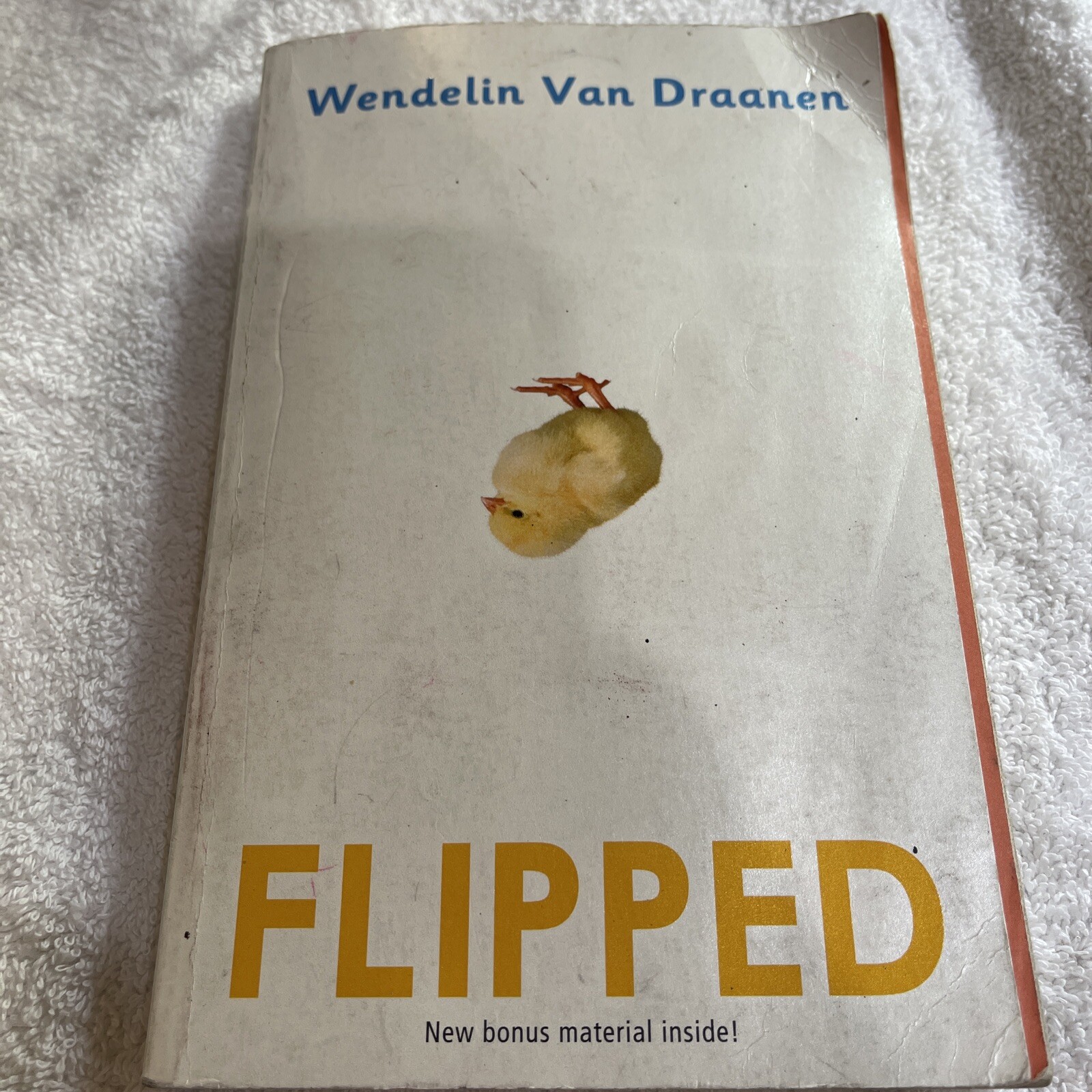 Flipped Book