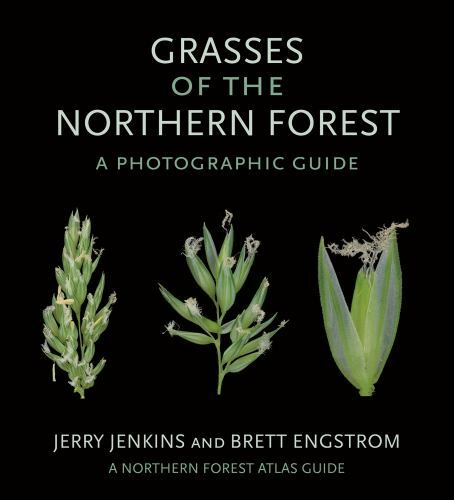 The Northern Forest Atlas Guides: Grasses of the Northern Forest : A ...