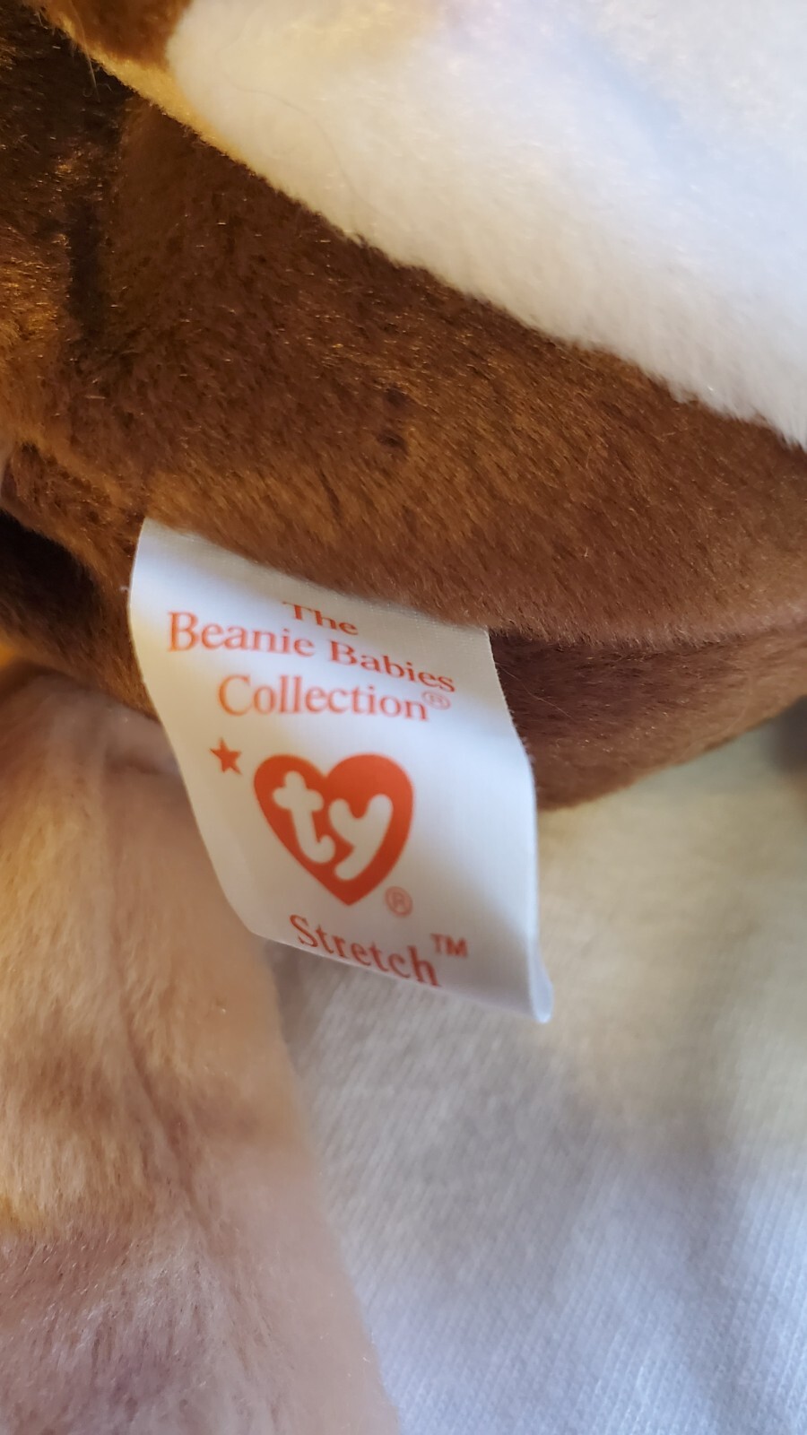 TY Beanie Baby – STRETCH the Ostrich 1997 (6.5 in) 8421041824| eBay