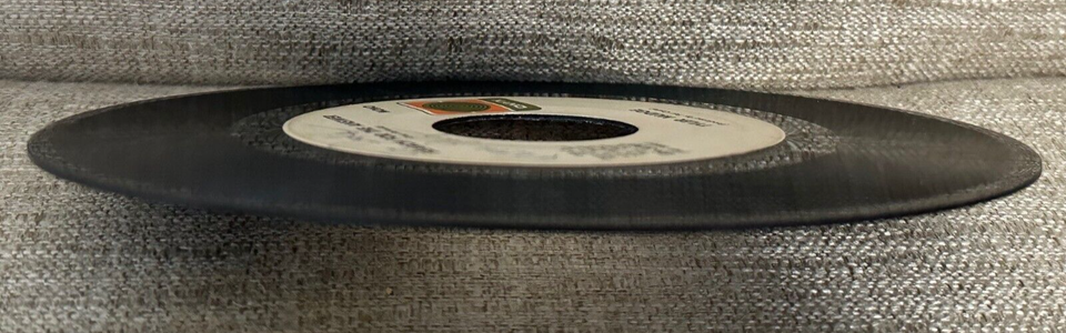 EXTREMELY RARE 7" 45RPM Vinyl Record: Tyler Mudge - Search for the ...