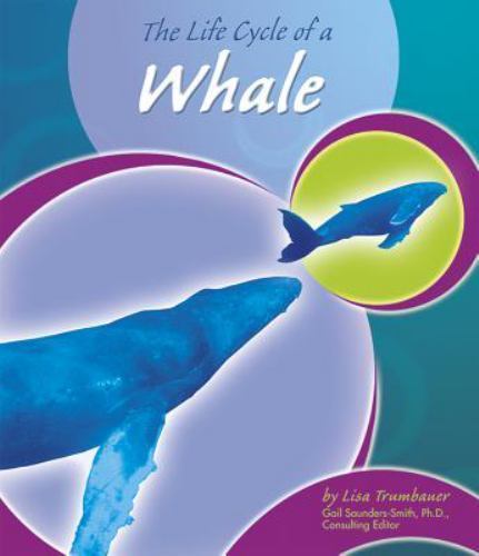 The Life Cycle of a Whale (Life Cycles) by Lisa Trumbauer 9780736811866 ...