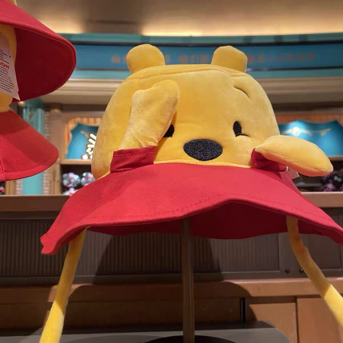 Disneyland Funny Pictures