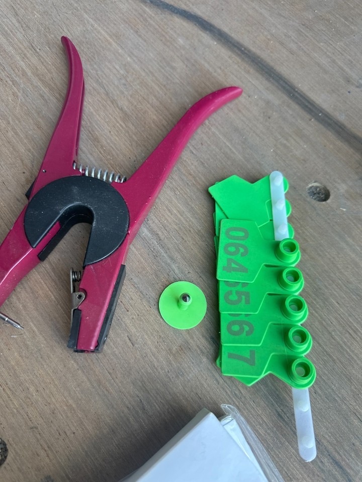 LOT: RugBadger Pro Commercial Rug Dusting Machine w/ Tagging Kit | eBay