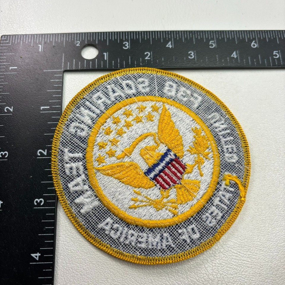 Vintage F3B SOARING TEAM UNITED STATES AMERICA Plane Patch (Aviation ...