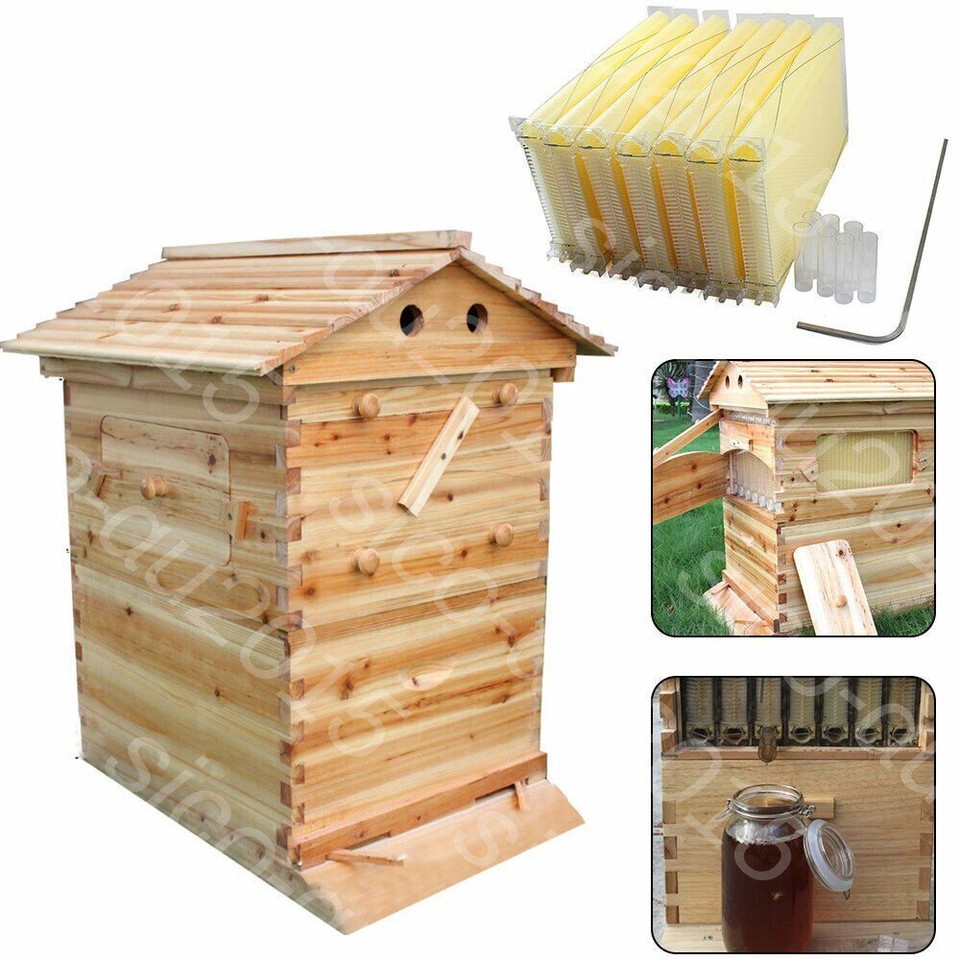 Auto Shed Bee Hive Honey Beekeeping Frames Beehive House 7x Comb Bee ...