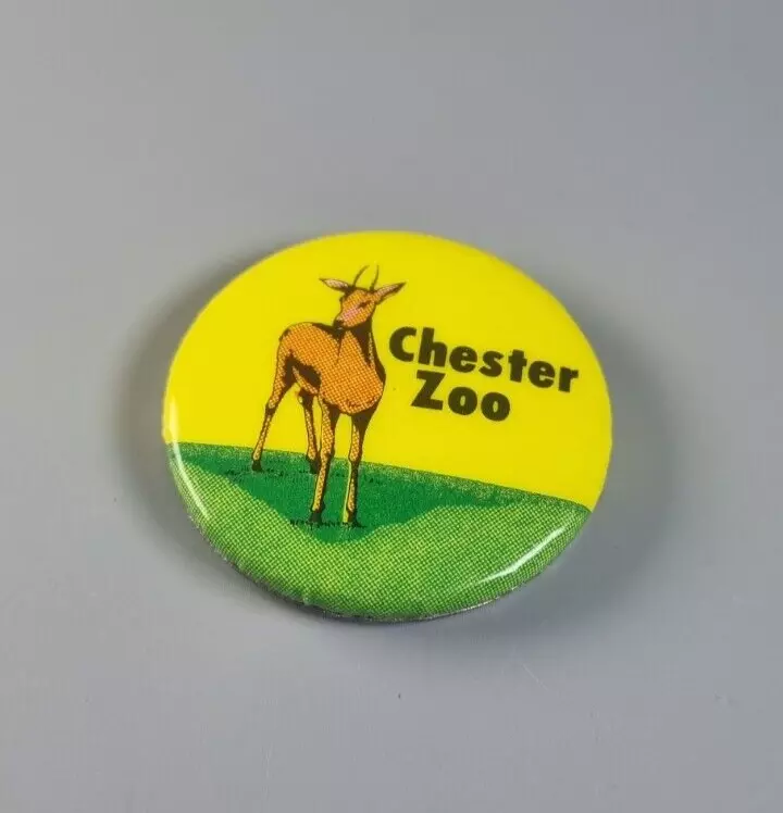 Chester Zoo Badge 1980s 30mm Vintage Souvenir Collectable Eighties Pin ...