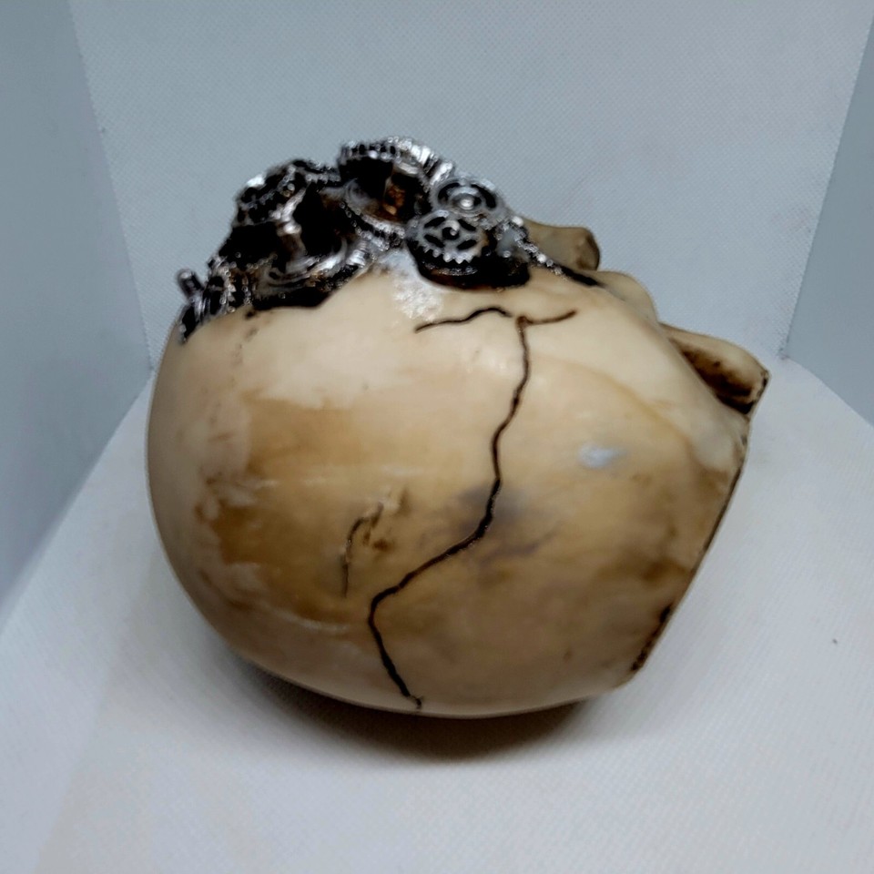 Large STEAMPUNK SKULL HEAD PROTRUDING GEAR CLOCKWORK STATUE FIGURE | eBay