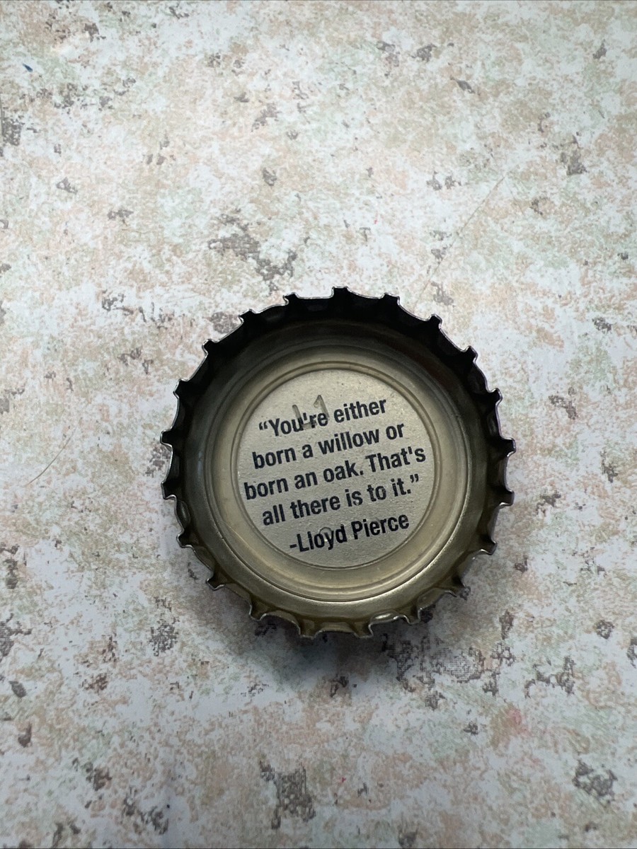 Bottle Cap Quotes Inspirational Quotes Keychains – LuLu Only