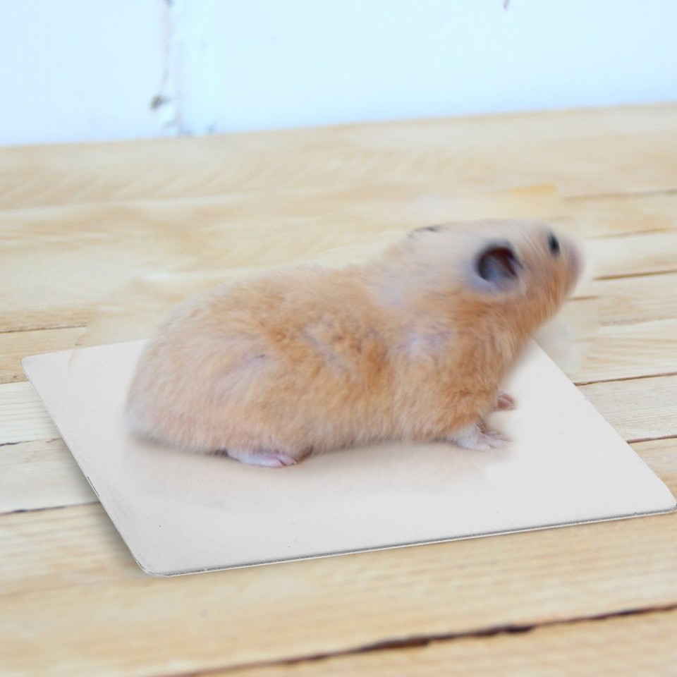 2Pcs Hamster Cooling Pad Rabbit Cooling Mat Stainless Steel Cooling Mat ...