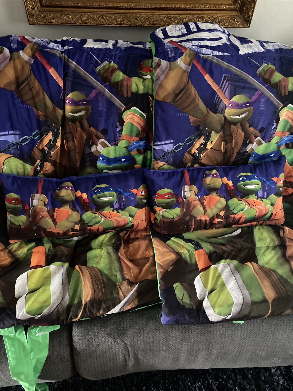 Nickelodeon Boy's Sleeping Slumber Bag and Pillow 2 PC Set - Ninja ...