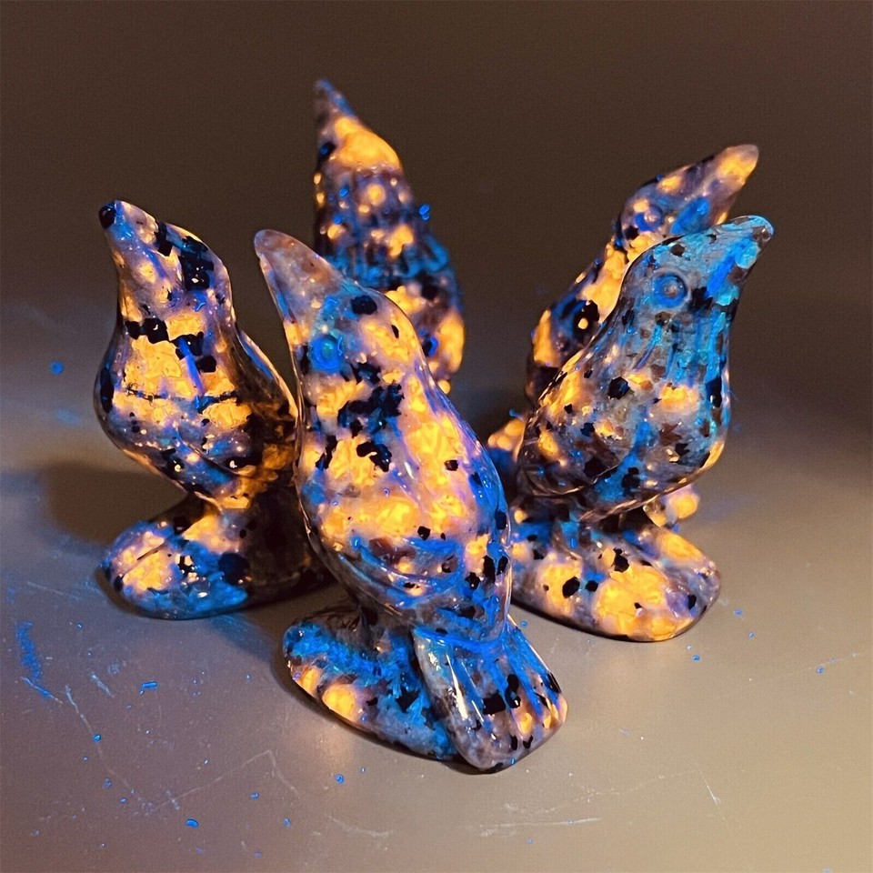Natural Emberlite Stone Crow UV Reactive Sodalite Raven Statue Home ...