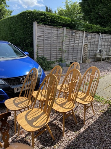 6 x Blonde Ercol Windsor Swan Back Dining Chairs inc 1xCarver | eBay UK