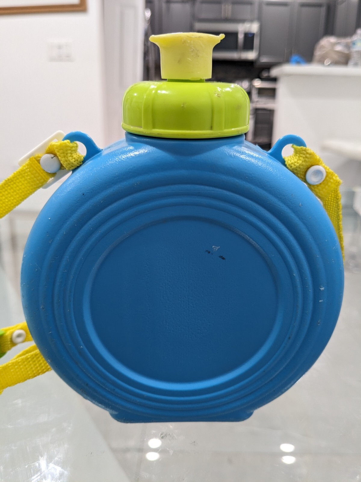 VTG 2001 SPONGEBOB SQUAREPANTS & PATRICK PLASTIC WATER CANTEEN-CARTOON ...