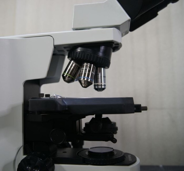 Olympus BX41TF Flourescent Microscope for sale online | eBay
