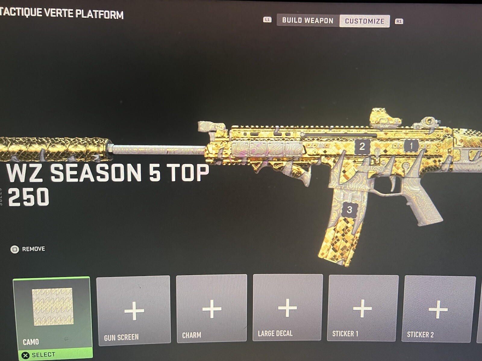 MW2 SEASON 5 -TOP 250 WZ- CAMO on Any GUN! Price is per weapon. NEW AND ...