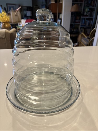 Extra Large 12.5” Tall Glass Cloche Dome 9.5” Wide Glass Plate With ...