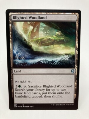 Blighted Woodland NM/M* Commander Baldur's Gate 881 ENGLISH mtg ...