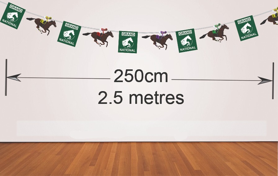 Grand National Horse Racing Bunting Party Decorations 12pcs 2.5M Ribbon ...