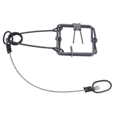 RBG CTM 3x3 Body Grip Trap Single Spring Rat Trap Trapping Supplies 1 ...