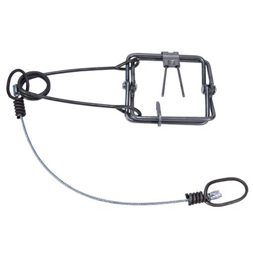 RBG CTM 3x3 Body Grip Trap Single Spring Rat Trap Trapping Supplies 1 ...