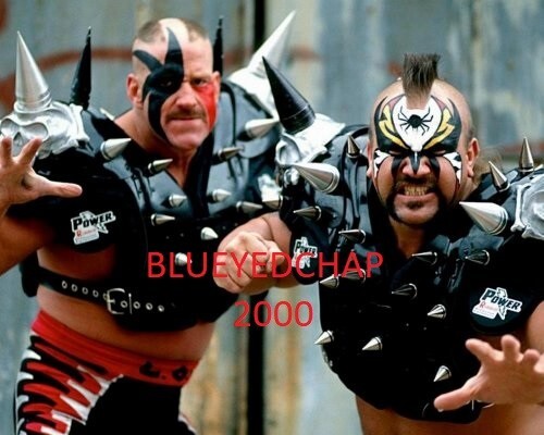 ROAD WARRIORS HAWK & ANIMAL WRESTLER 8 X 10 WRETSLING PHOTO NWA WWF WCW ...