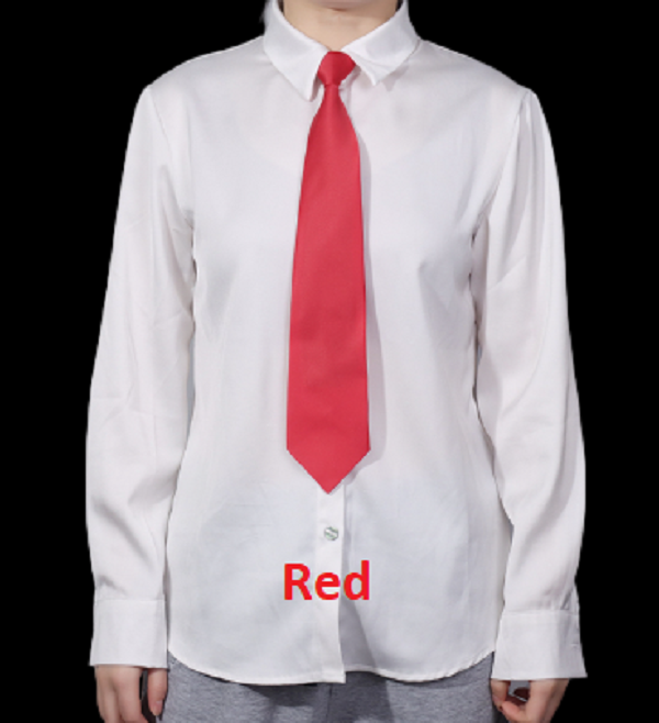 Lazy Zipper Tie Security Ties For Men/Women School Red, Navy DECA, FBLA ...