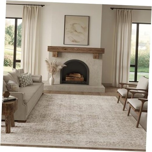 8x10 Washable Area Rug Vintage Neutral Distressed 8' x 10' (Rectangular ...