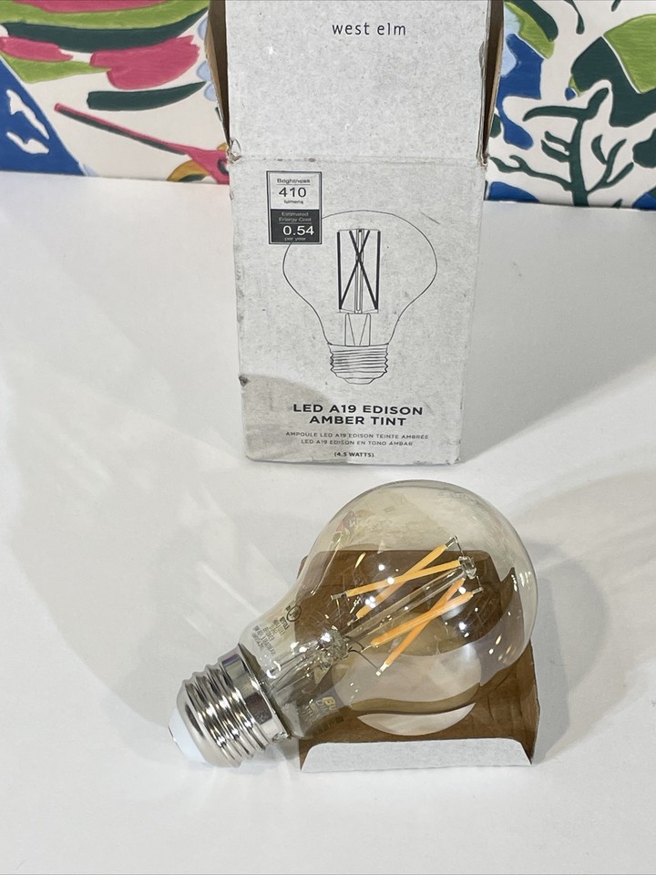 West Elm LED A19 Edison Amber Tiny Light Bulb 4.5W 410 Lumens | eBay