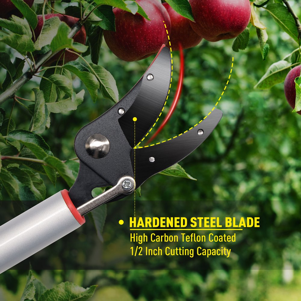 32" Long Tree Reach Pruner or Fruit Picker and Bypass Pruner, Pruning ...