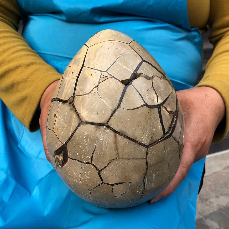18.5LB Top Natural Turtle Back Stone Hole Shape Dragon Crystal Crack ...