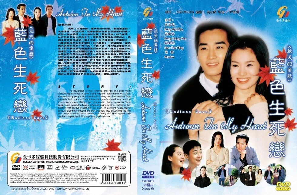 Endless Love Korean Poster