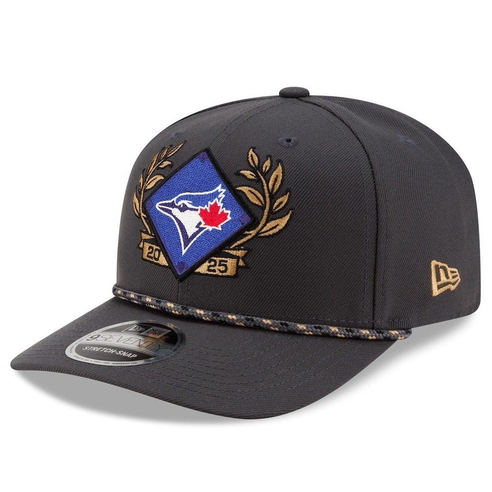 Toronto Blue Jays New Era 2025 ALDS Champions 9SEVENTY Snapback Hat | eBay