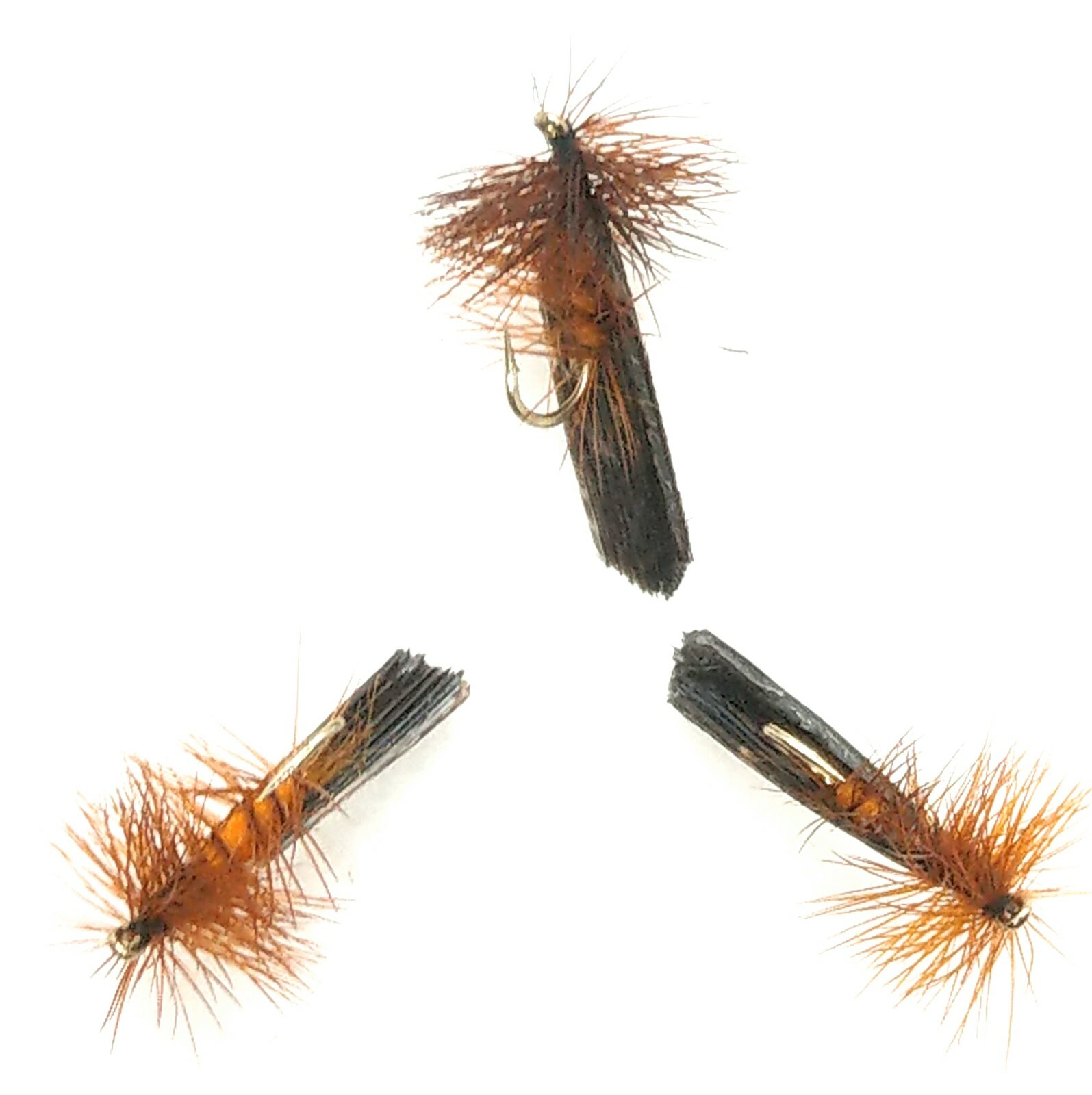 Brown SEDGE Dry Flies 3 Pack CADDIS Winged DRIES Trout Fly Fishing Size ...