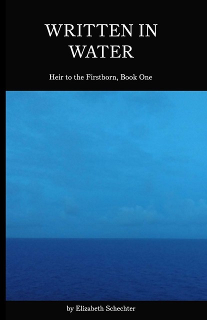 Written in Water von Elizabeth Schechter (2019, Taschenbuch) online ...