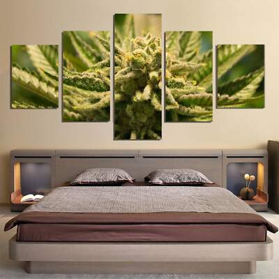 Marijuana Cannabis 420 5 Piece Canvas Wall Art Images Pictures ...